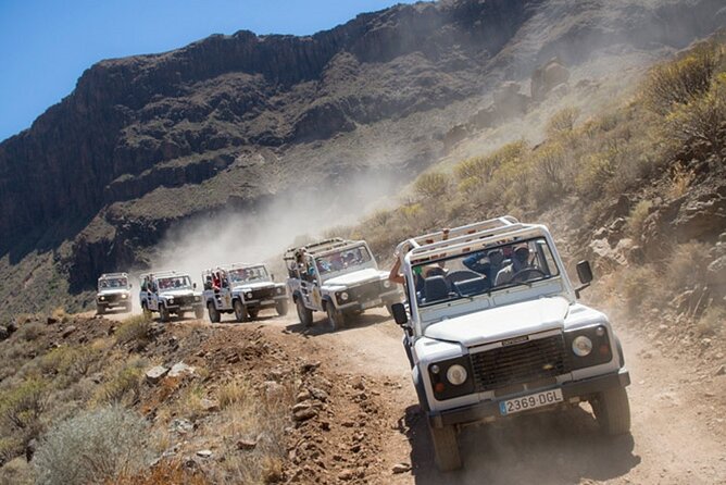 4X4 Safari: Jandía Natural Park and Cofete - The Sum Up