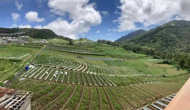 8 Days all inclusive - Motorbike Tour in Central Java - FAQ