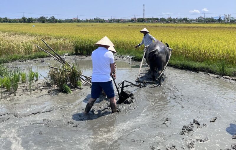 An incredible Hoi An - Water buffalo riding & cooking class - Final Words