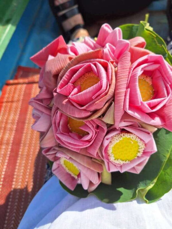 Angkor Silk Farm & Lotus Silk Farm: Siem Reap Discovery Tour - FAQ