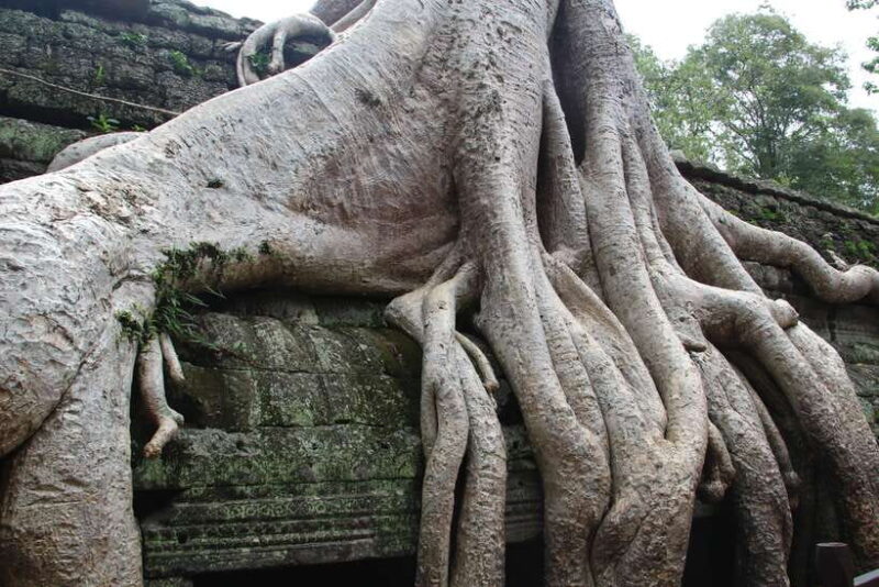 Angkor Wat Full-Day Private Tour with Sunset - FAQ