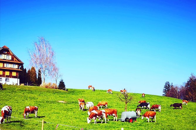 Appenzell and Liechtenstein Tour from Zurich - What’s Included and What’s Not