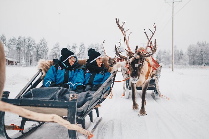 Apukka Reindeer Journey - The Sum Up