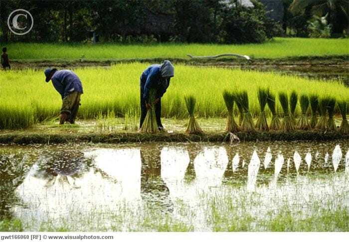 Back to Basics: Village Life Tour from Siem Reap - FAQ
