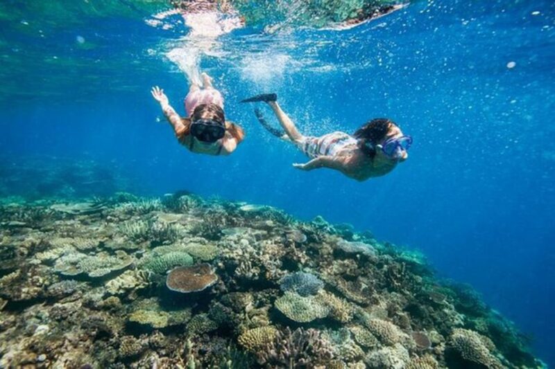 Bali: Blue Lagoon Beach Snorkeling Tour with Lunch - The Sum Up