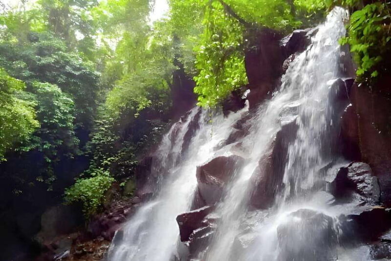 Bali: Blue Lagoon Snorkel, Kanto Lampo & Tibumana Waterfalls - Final Words