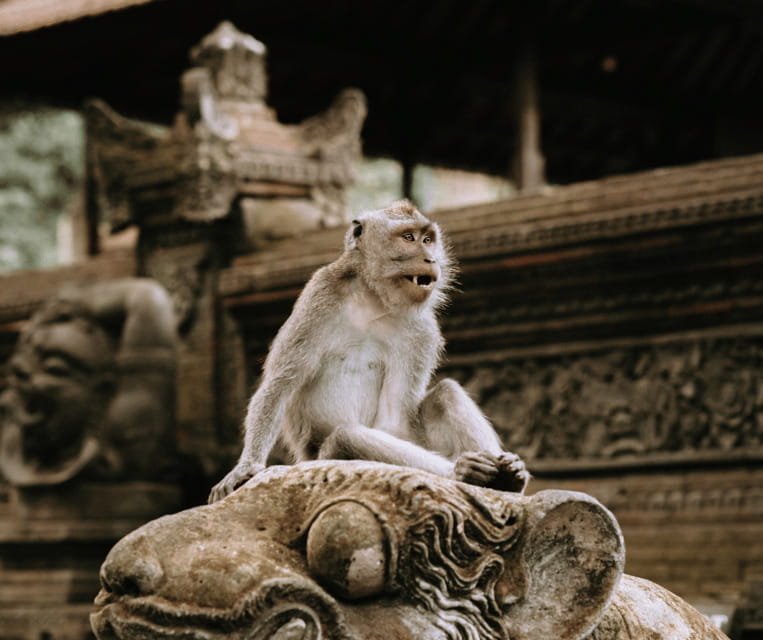 Bali Heritage: Taman Ayun, Monkeys, & Tanah Lot Sunset - Final Thoughts: Is It Right for You?