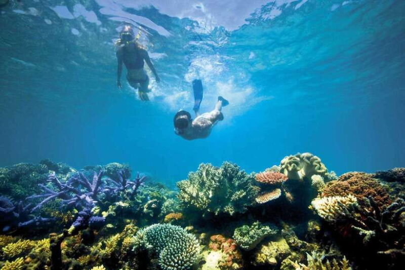 Bali/Lovina: Dolphin Snorkeling, Swimming & Waterfall Tour - Final Thoughts
