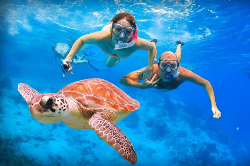 Bali: Snorkeling on 2 spots with Lunch and Transport - FAQ