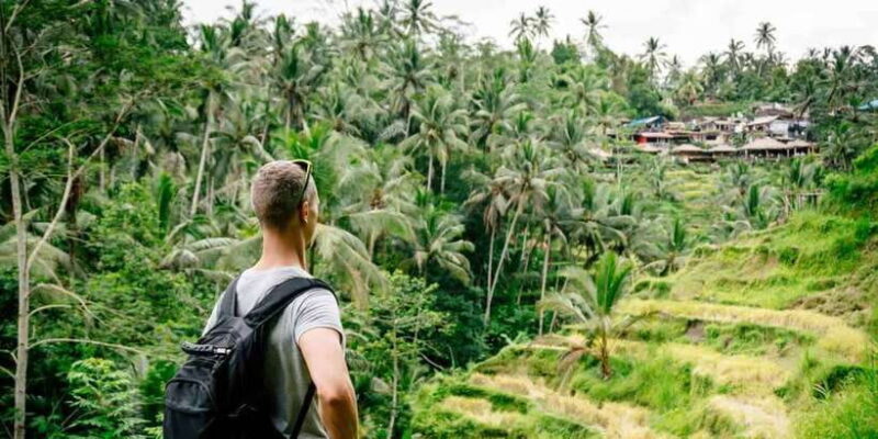 Bali: Ubud and Tanah Lot Small Group Guided Tour - Final Thoughts