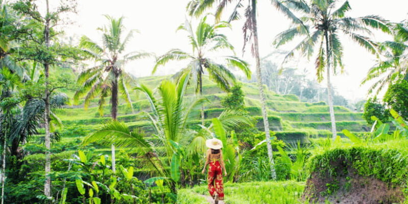 Bali: Ubud Rice Terraces, Monkey Forest & Waterfall Tour - FAQ