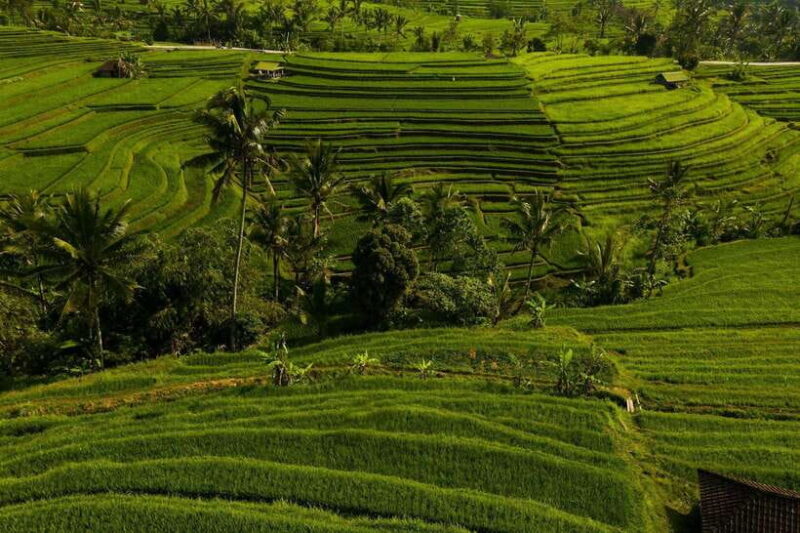 Balis Iconic Waterfalls, Rice Terraces & Sunset at La Brisa - Final Verdict