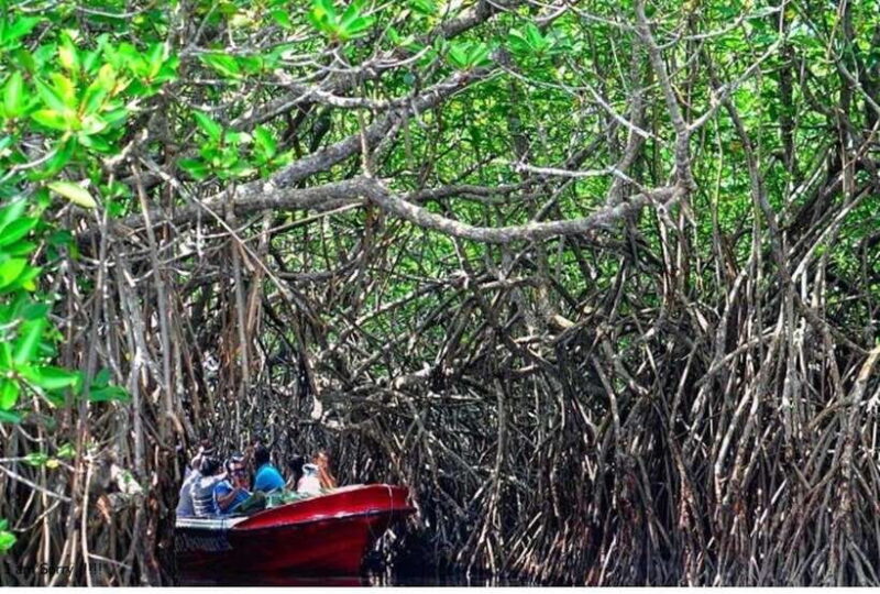 Bentota: All Inclusive Galle Dutch Fort & Madu River Safari - Who Will Love This Tour?