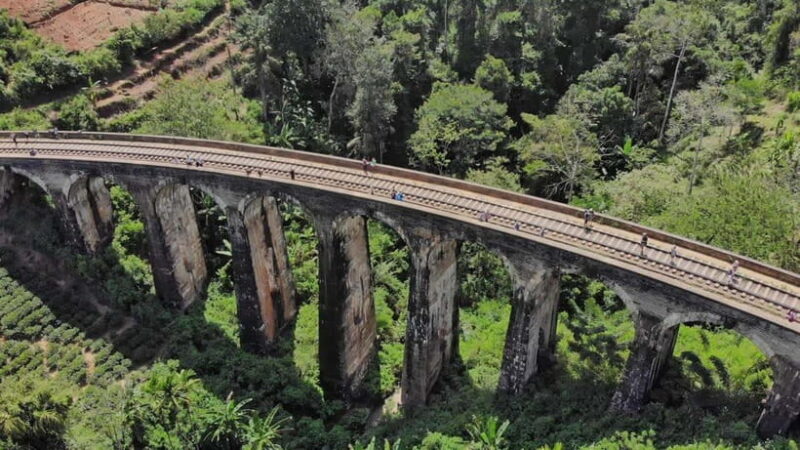 Best Sri Lanka Travel Guide: Top Attractions Discover - Who Should Consider This Tour