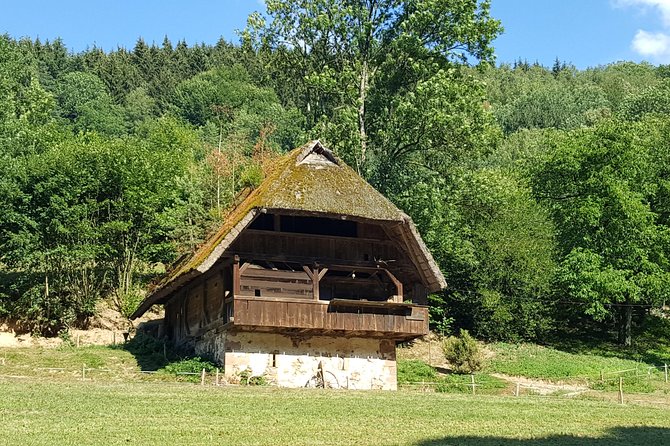 Black Forest Tour by car: Baden-Baden to Freiburg or vice versa - Black Forest Museum and Local Culture