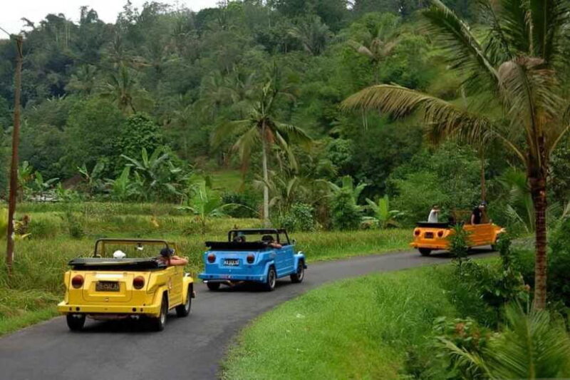 Borobudur: Private Volkswagen Thing Countryside Safari - Final Thoughts