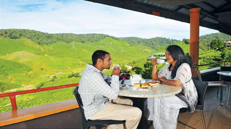 Cameron Highlands 1 Day Tour from Kuala Lumpur - Who Will Find This Tour Most Valuable?