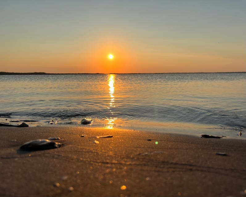 Charleston: Morris Island Dolphin Cruise with Beachcombing - Final Thoughts