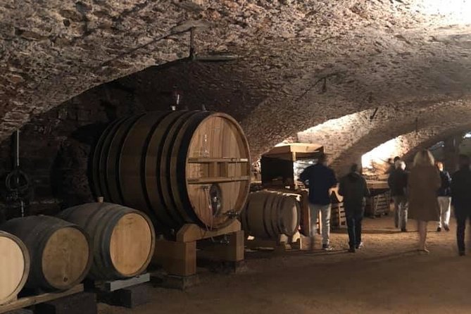 Cheese and Wine Accord Tour at Château de Champ-Renard - Final Thoughts