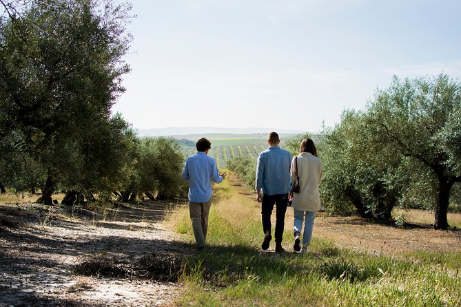 Cordoba Olive Oil mill, Wine, Passion - Key Points