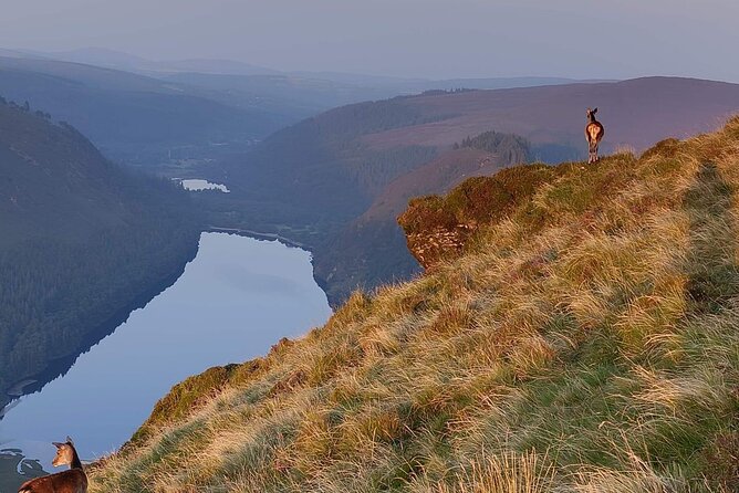 Day Tour to County Wicklow - What Makes This Tour Stand Out?
