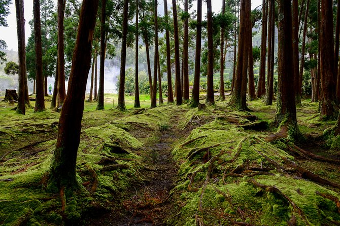 Day tour to the amazing Sete Cidades - Frequently Asked Questions