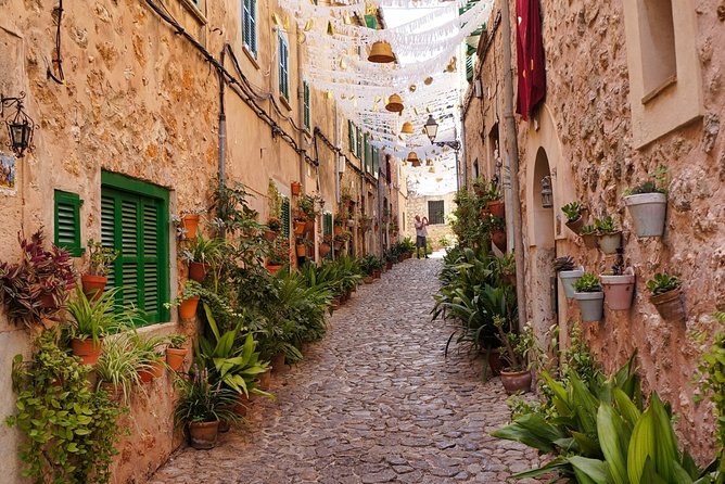 Discover the major cultural attractions of Palma De Mallorca on a Private Tour - Guide and Local Insight