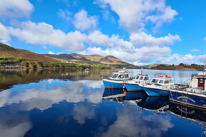 Donegal Private Tour Slieve League & Glenveagh National Park - Who Will Love This Tour?