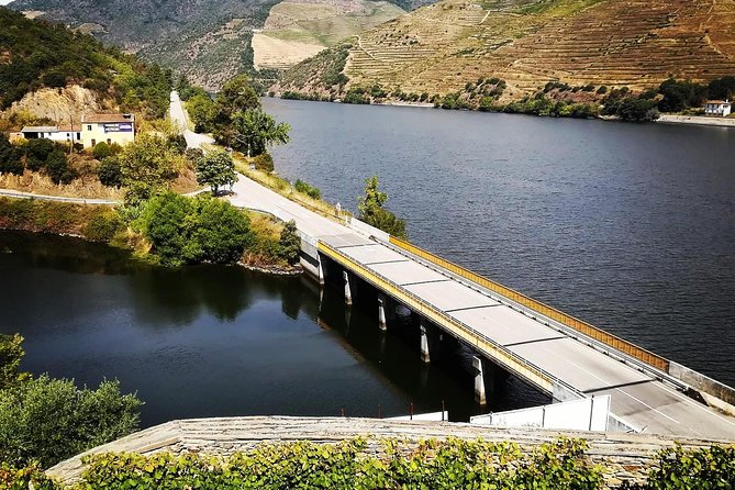 Douro Valley from Porto with Wineries, Lunch and Boat Trip - Final Words