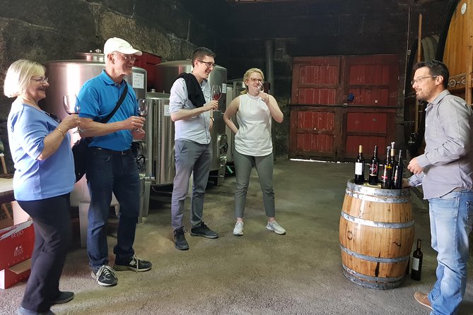 Douro Valley Wine Tour: 3 Vineyard Visits, Wine Tastings, Lunch - The Final Stop: Sabrosa and Port Tasting