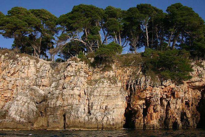 Dubrovnik Elafiti Islands Cruise with Lunch, Drinks and Pickup - Who Would Love This Tour?
