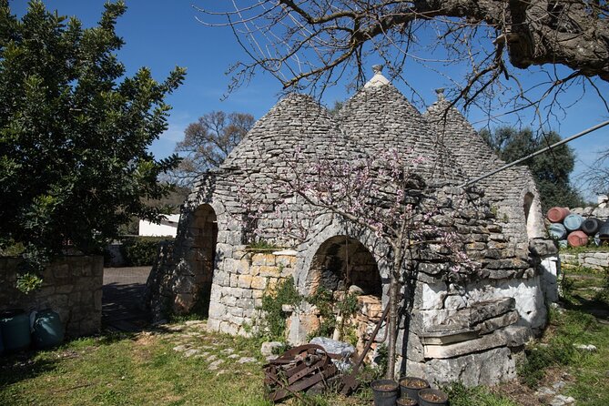e-Bike tour in Locorotondo, oil mill visit and EVO oil tasting - Tour Duration & Practical Details