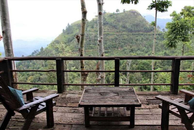 Ella: Guided Day Tour with Tea Estate Visit - Practical Details and What to Expect