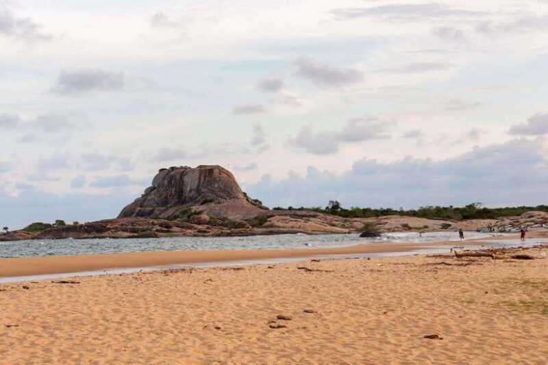 Ella: Transfer to Mirissa/Galle/Hikkaduwa & Yala Safari Tour - The Sum Up