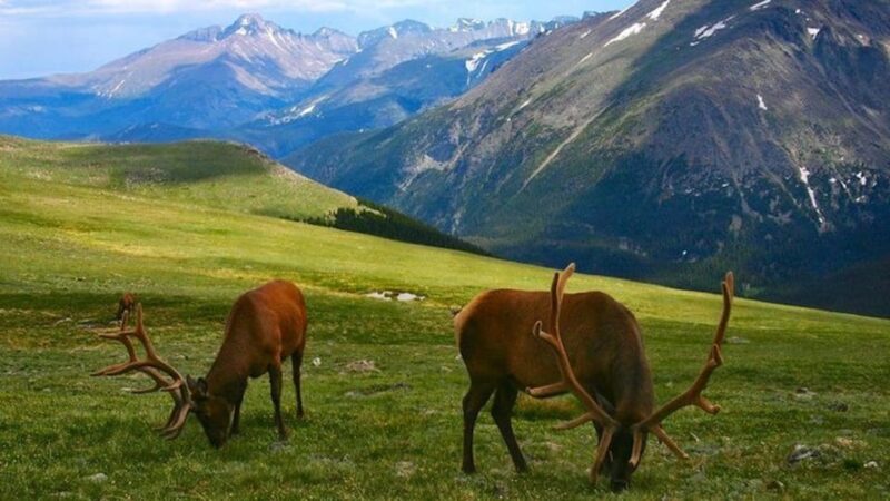 Estes Park: Bear Lake Corridor Tour - How Does the Price Reflect the Experience?