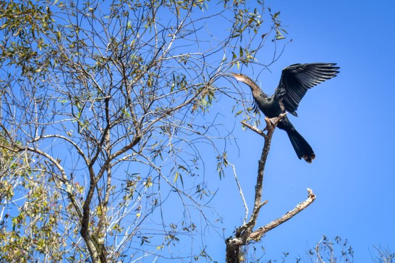 Everglades City: Guided Kayaking Tour of the Wetlands - The Sum Up: Who Will Love This Tour?