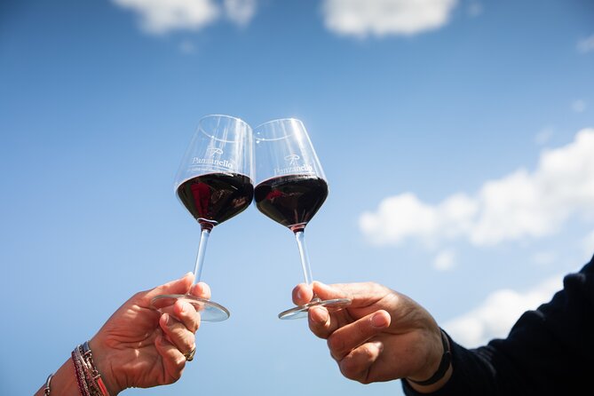 Exclusive Lunch Tour and Wine tasting at a Chianti Classic Winery - The Sum Up