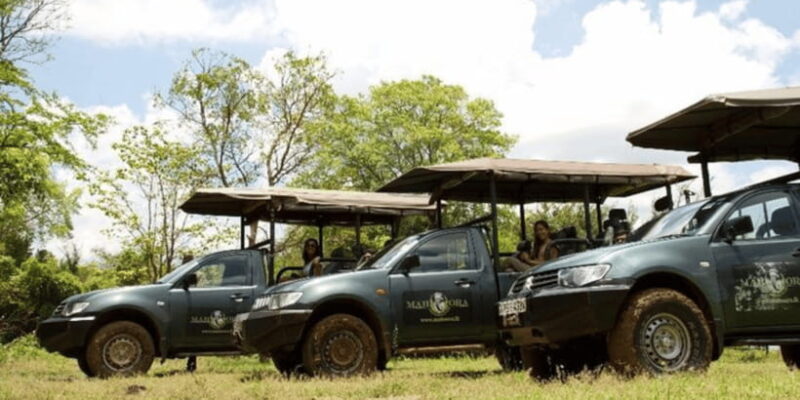 Exclusive : Wildlife Full Day Adventure in Wilpattu - FAQs