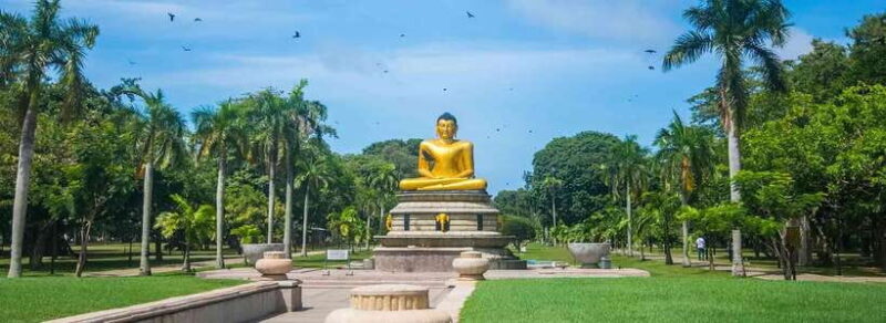 Explore Sri Lanka: One-Day City Tour with Colombo Highlights - Who Should Take This Tour?