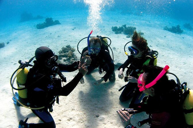 Fethiye Scuba Diving Experience By A Local Expert - Final Thoughts