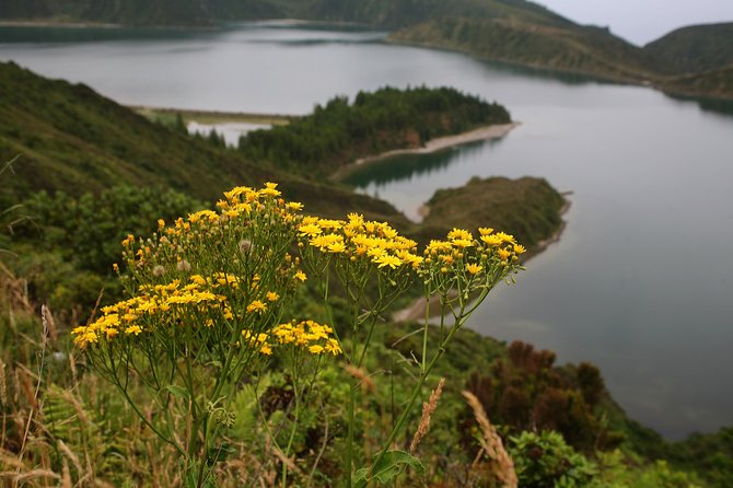 Fogo Lake hiking tour - full day - Practical Tips for Participants