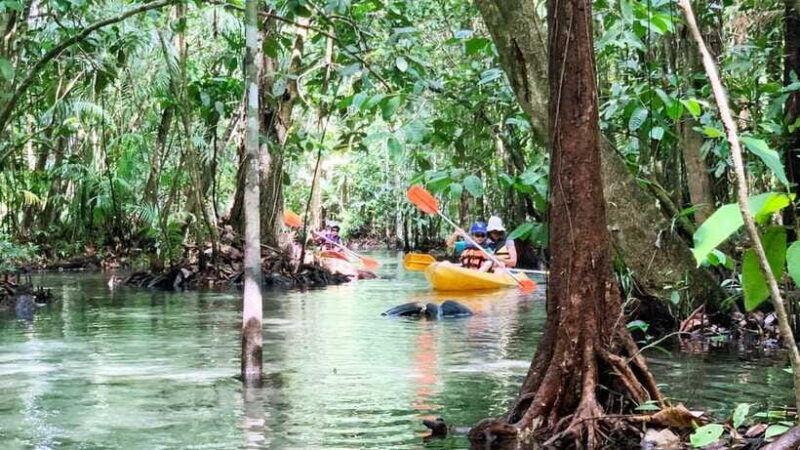 From Ao Nang: Kayaking at Klong Rud with Hotel Transfers - Who Will Love This Tour?