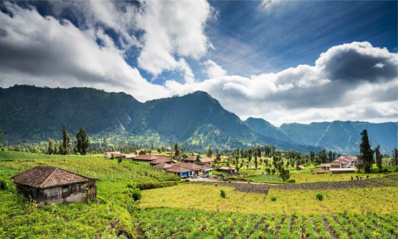 From Bali: Mount Bromo and Blue Fire Ijen Crater 3-Day Tour - Who Should Consider This Tour?