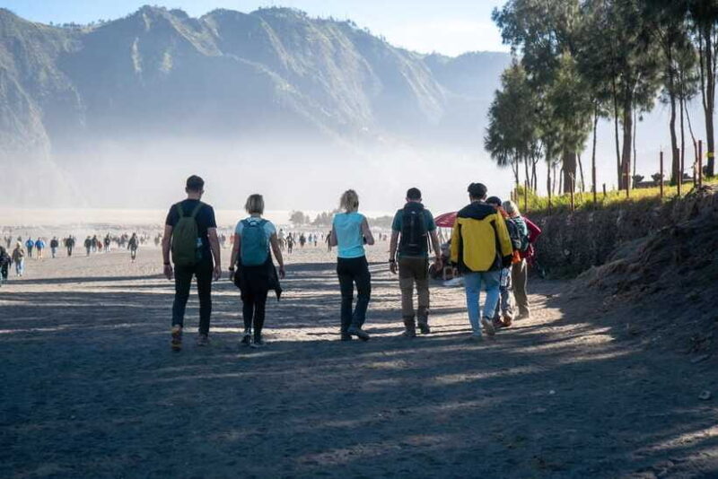 From Bali : Mount Bromo Sunset English Shared Guide Tour - Who Is This Tour Best For?