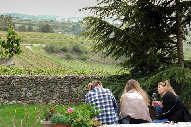 From Barcelona: El Penedès Hike & Wines - The Sum Up
