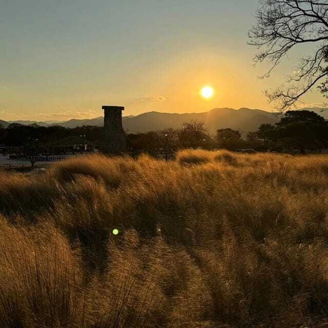 From Busan: Full-Day Private Yangdong village Gyeongju Tour - FAQ