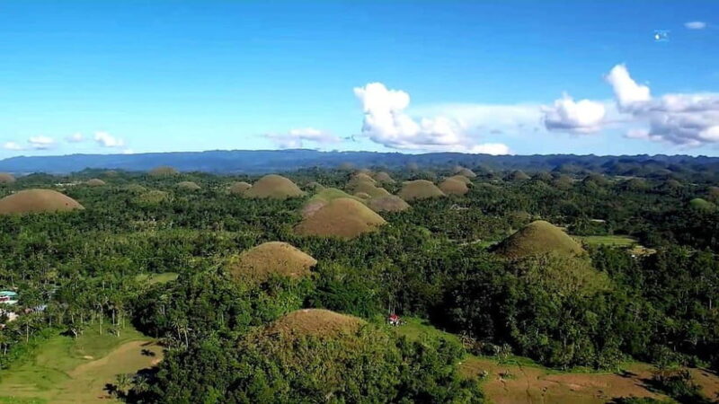 From Cebu: Bohol Countryside & Buffet Lunch Exclusive Tour - Final Thoughts
