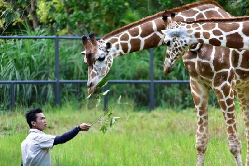 From Cebu City: Cebu Safari and Adventure Park Day Tour - FAQ