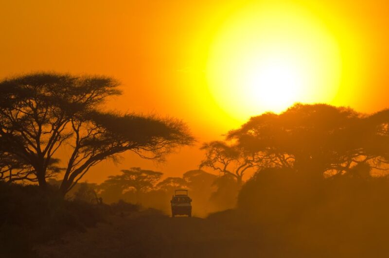 From Colombo: Yala National Park Safari with Transfer - FAQ: Practical Questions About the Yala Safari Tour