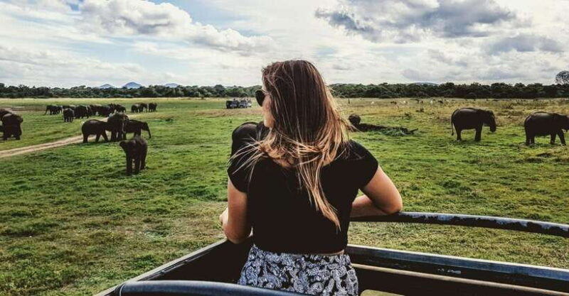 From Ella: Udawalawa Safari and Tangalle/Hiriketiya Transfer - Final Thoughts
